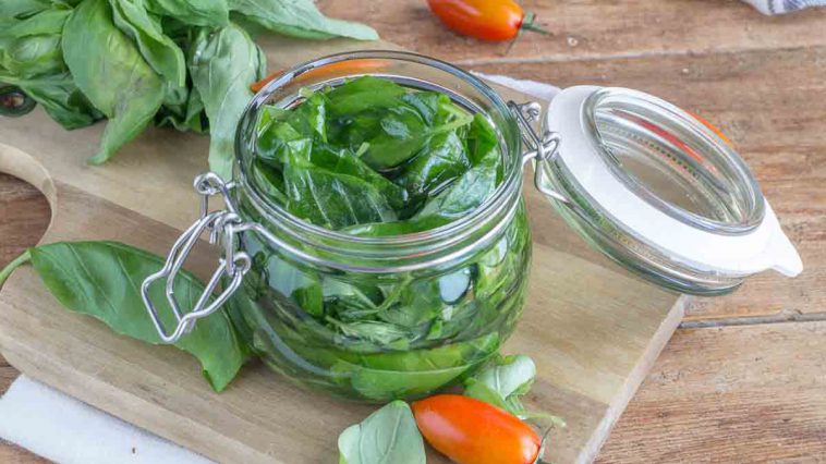 Basilic à l'huile d'olive: méthode de conservation simple et efficace