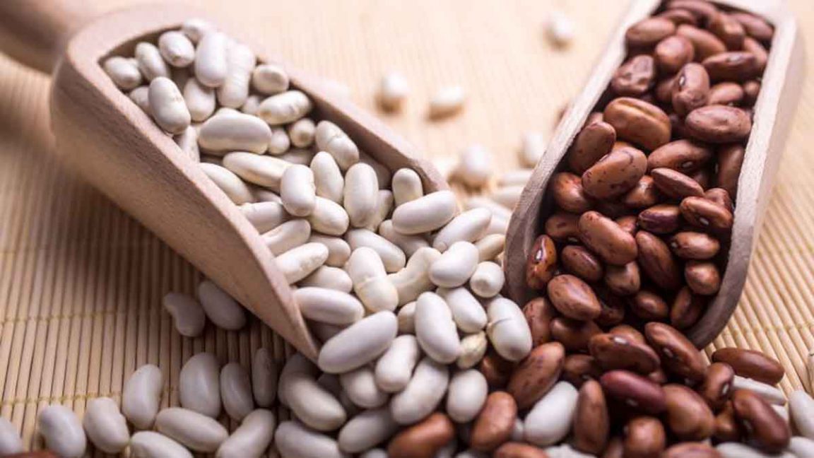 Les haricots: quels sont leurs bienfaits sur la santé?