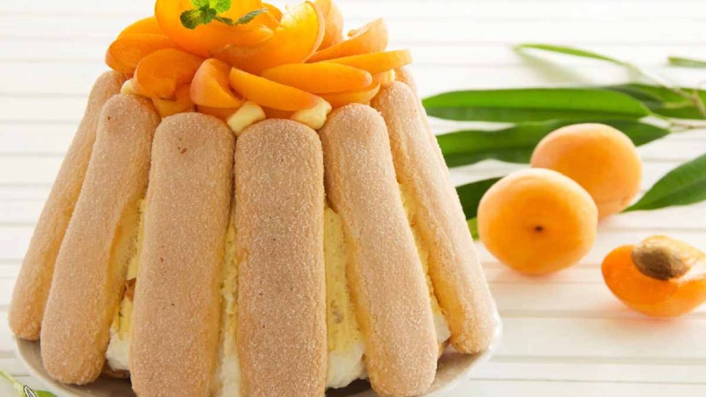 Gâteau de biscuits aux abricots et au mascarpone sans cuisson: une pure ...