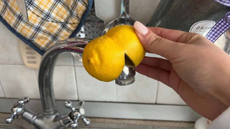 Faites comme tout le monde et enveloppez le robinet de citron Faites comme tout le monde et enveloppez le robinet de citron