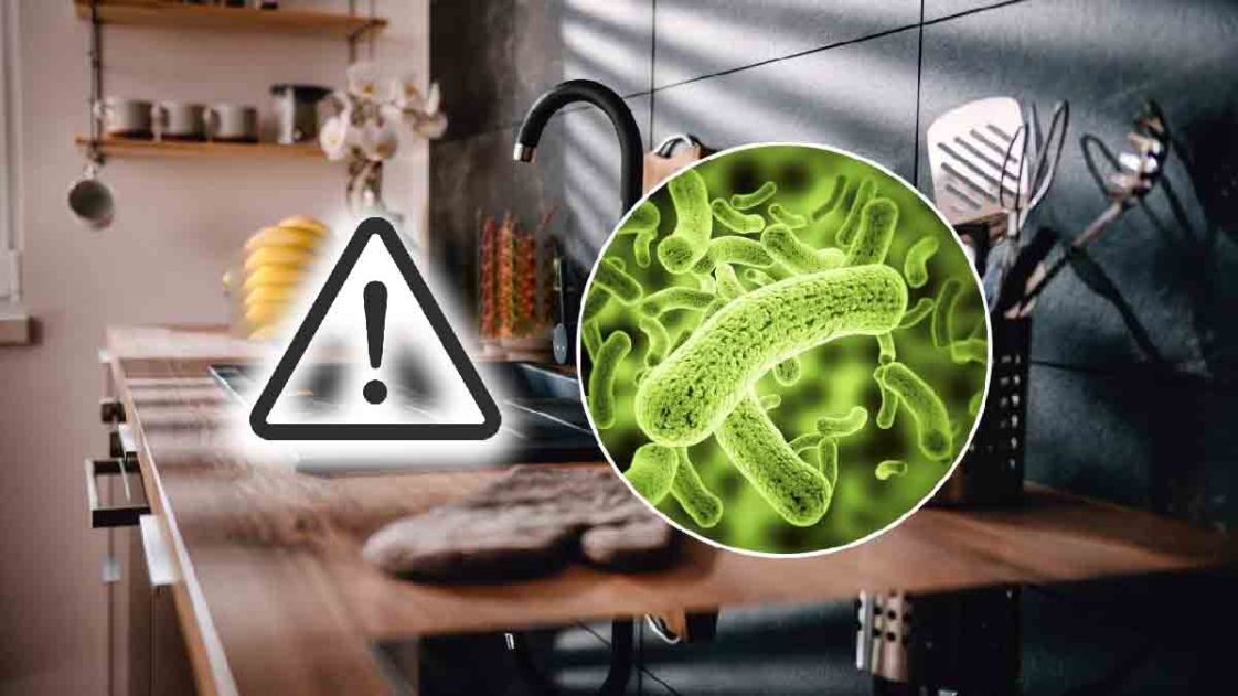 Voici l'objet le plus infesté de bactéries et il ne se trouve pas dans ...