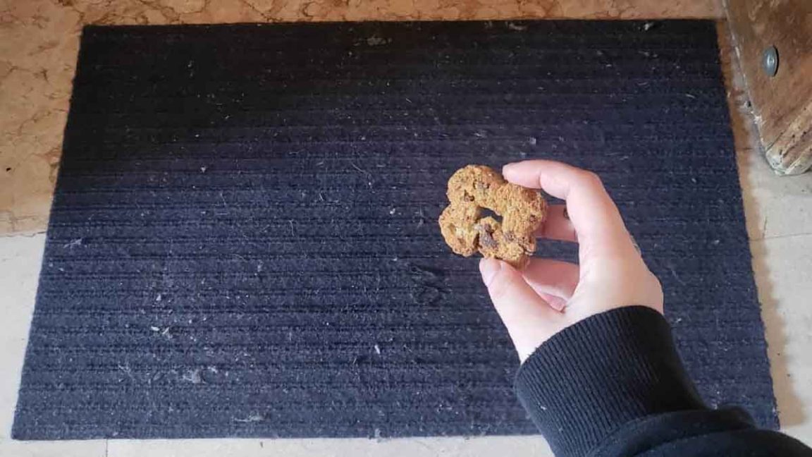 Faites comme tout le monde et n'oubliez jamais de mettre des cookies ...