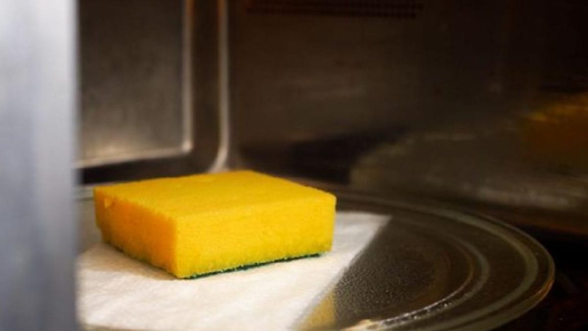 Programmez le minuteur du micro-ondes à 5 minutes et insérez l’éponge à ...