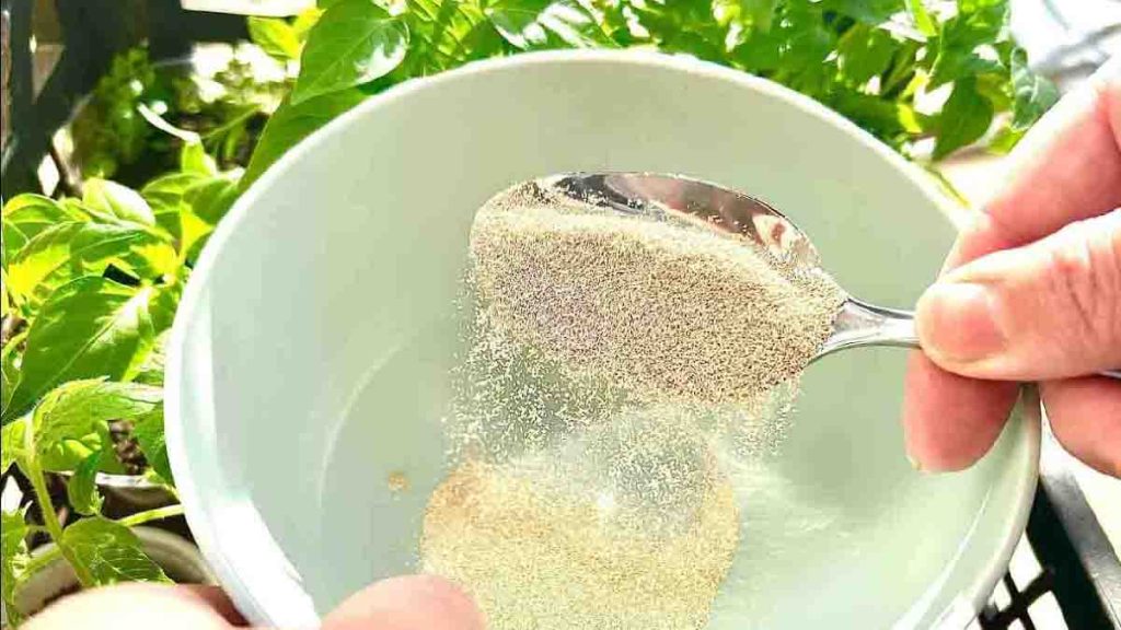 Ce produit miracle booste la croissance des semis sur le balcon et dans ...