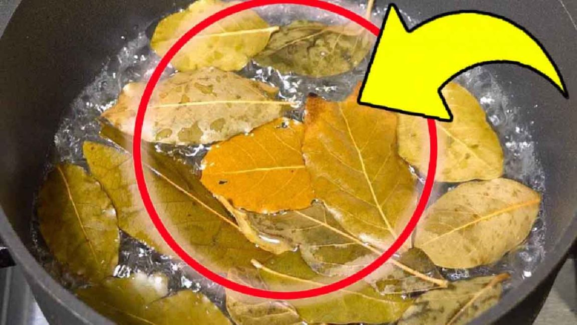 Que se passe-t-il si vous commencez à faire bouillir des feuilles de ...