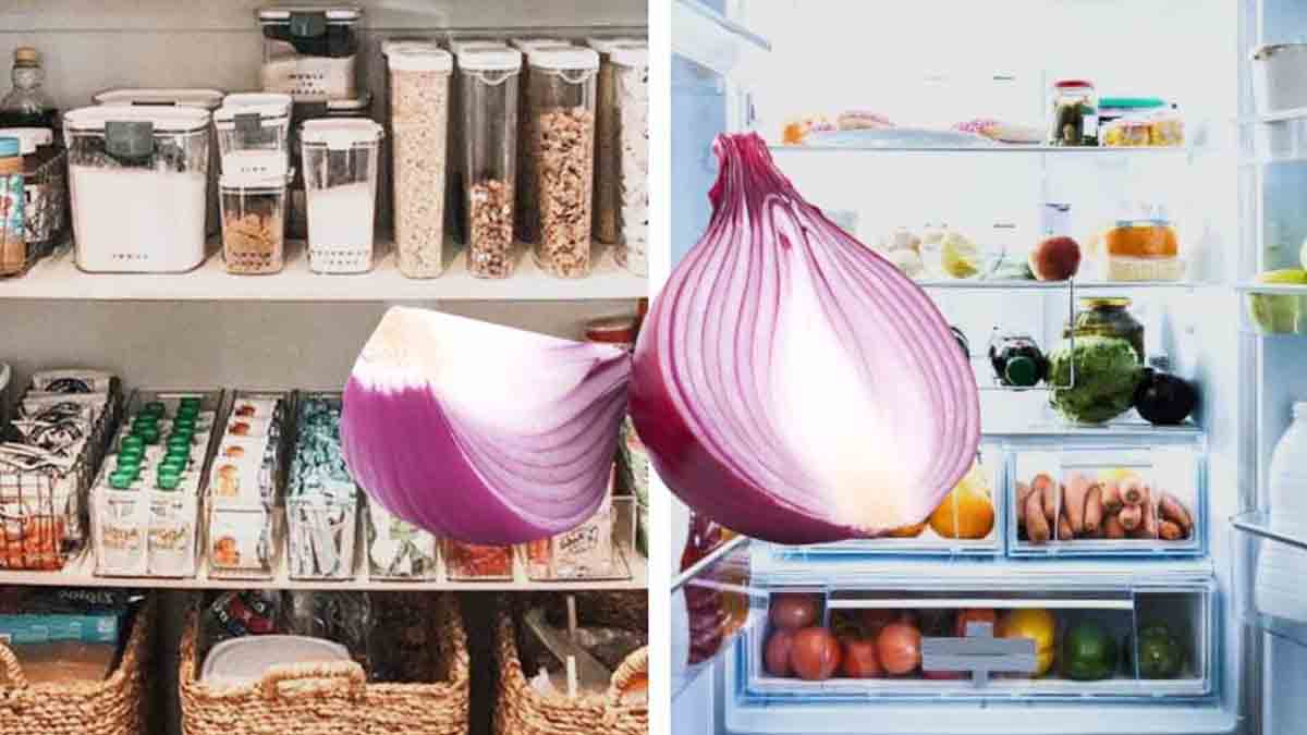 Vous avez toujours commis une erreur : voici l’endroit le plus ... Vous avez toujours commis une erreur : voici l’endroit le plus ...