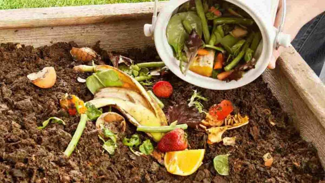 Compostage domestique : comment recycler intelligemment les déchets ...