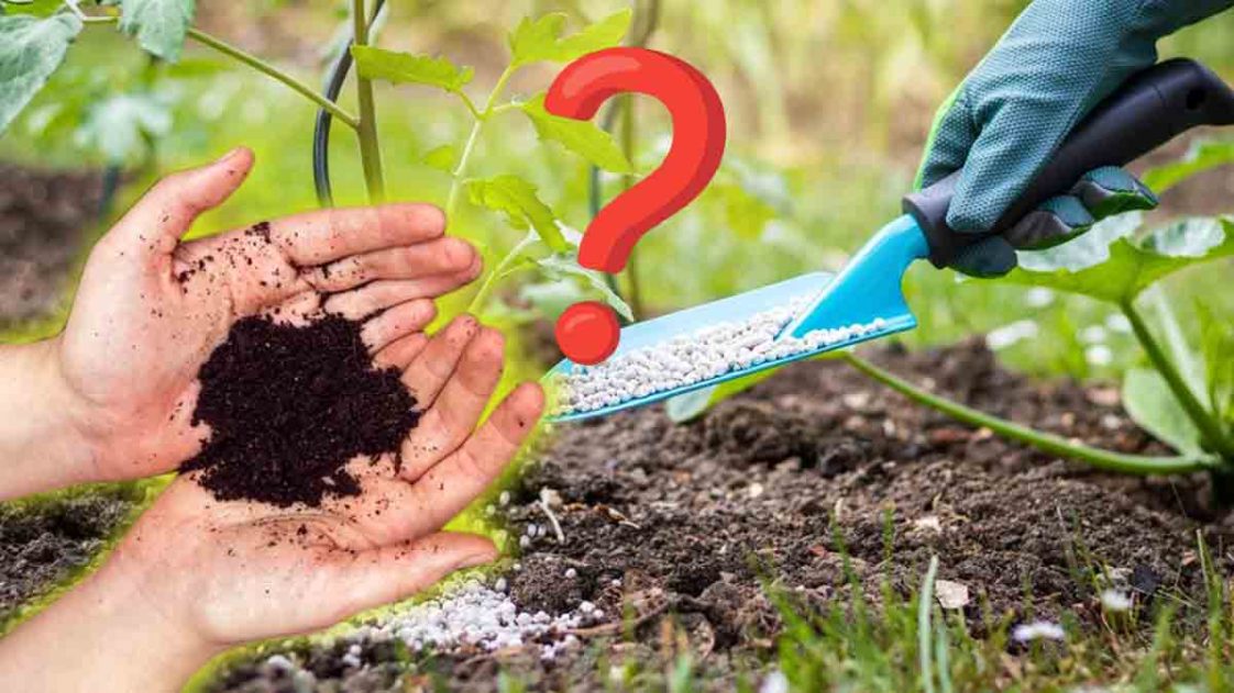 Quel engrais choisir pour fertiliser son potager