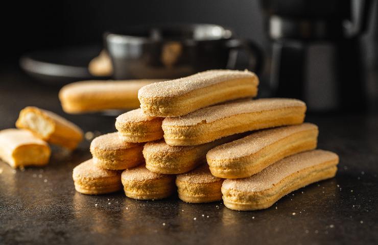 Gâteau de boudoirs crémeux au citron et au chocolat blanc: un gâteau ...
